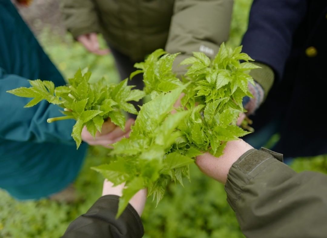 Foraging for wild food facilitates a deepening sensitivity t ...