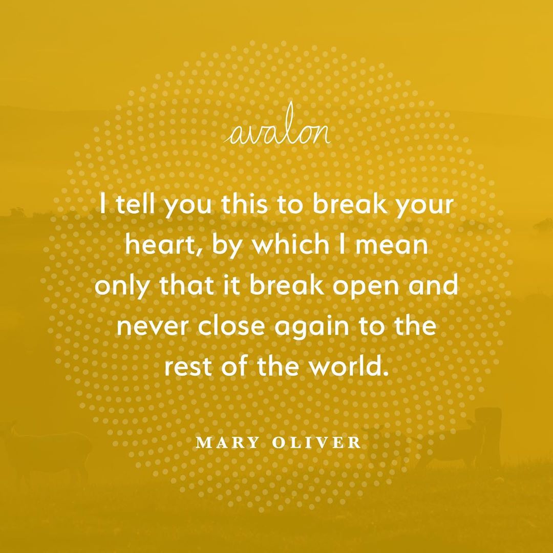 We Close Our Eyes To Old Ends And Open Our Hearts To New Beg we-close-our-eyes-to-old-ends-and-open-our-hearts-to-new-beg